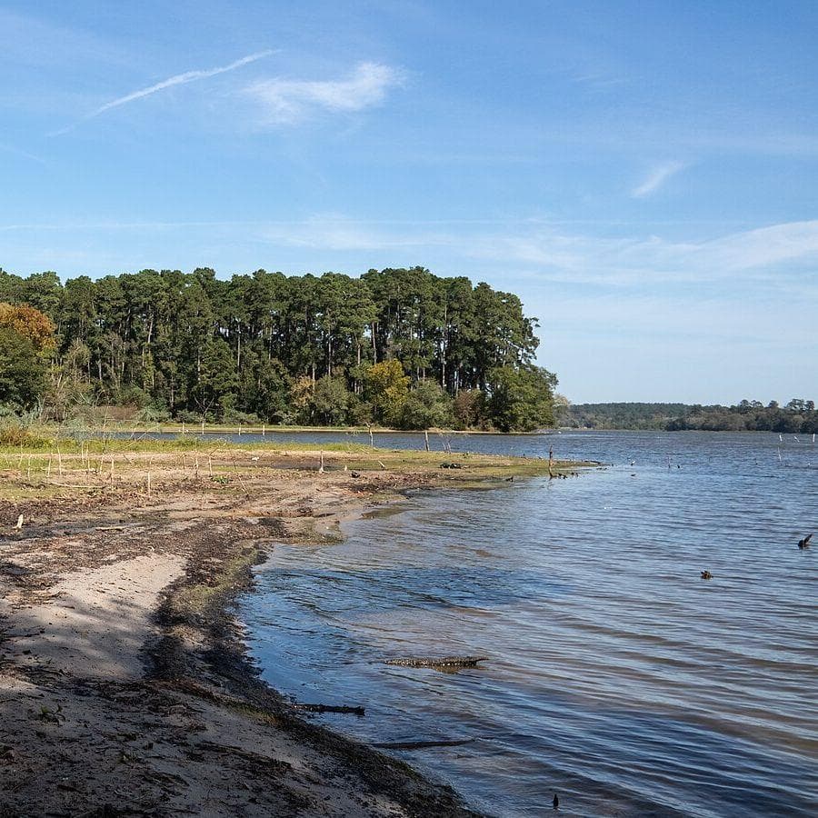 13 Great Fishing Spots In Houston That Only Locals Know About, Ranked