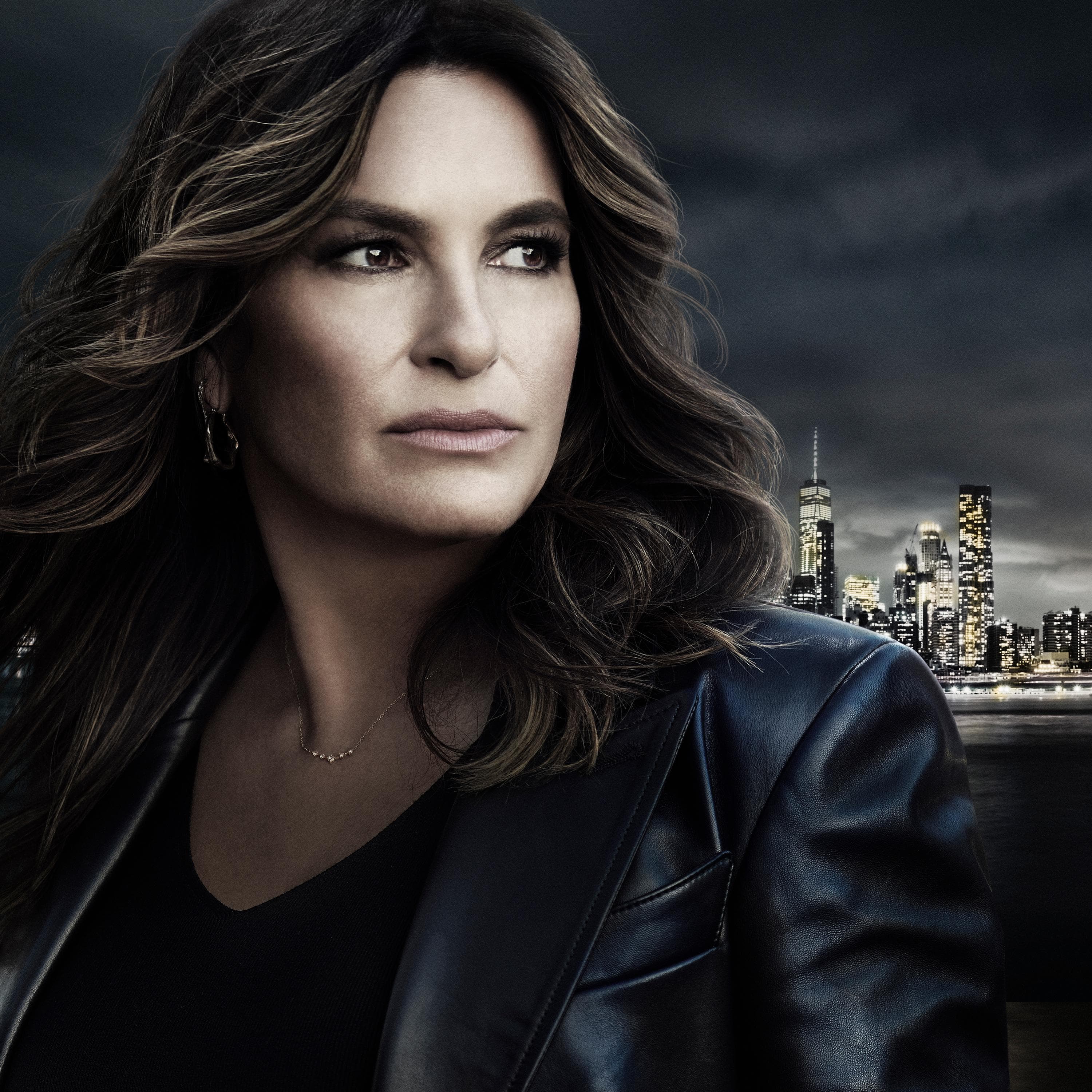 The 25 Best Shows Like 'Alert: Missing Persons Unit', Ranked By Fans