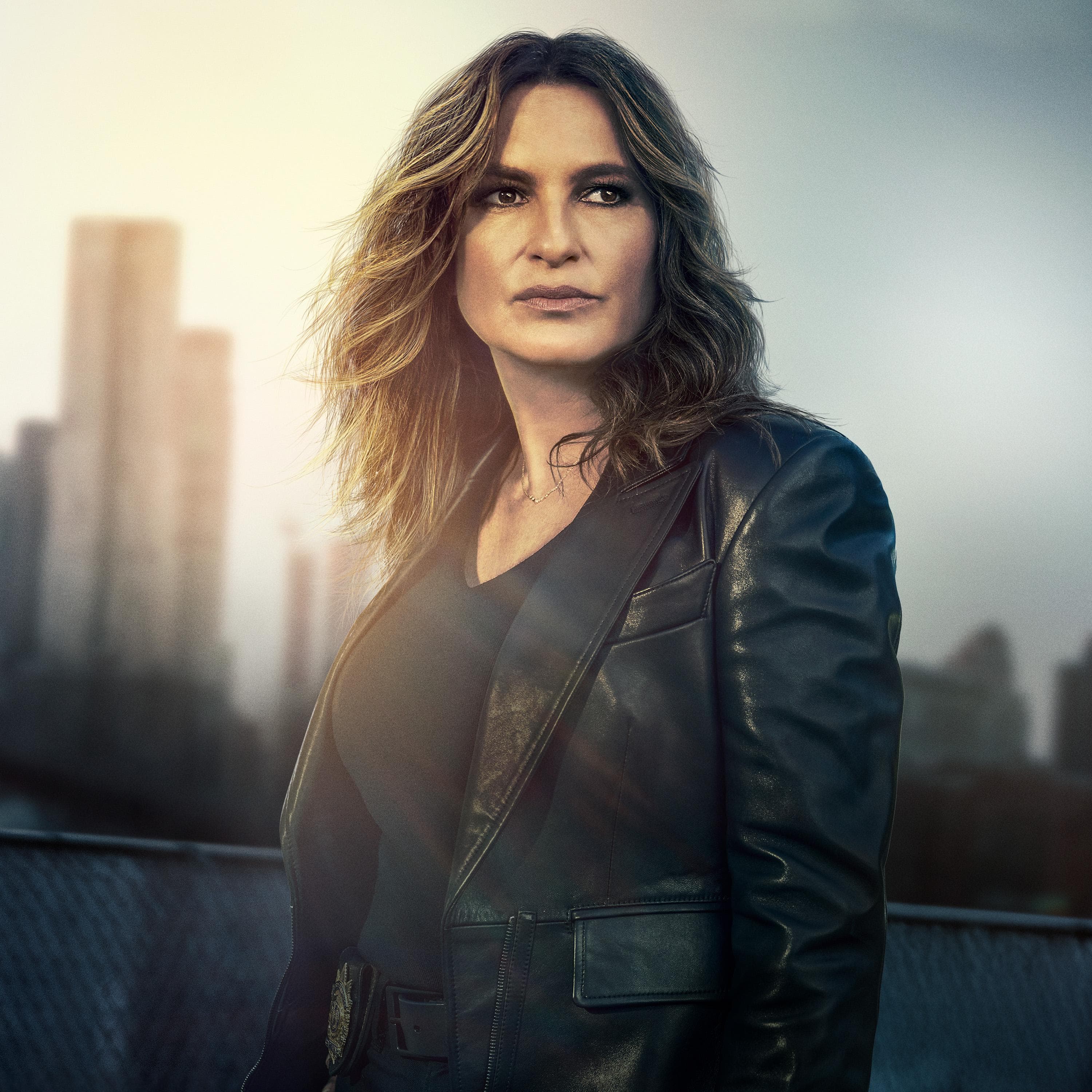 The 25 Best Shows Like 'Alert: Missing Persons Unit', Ranked By Fans