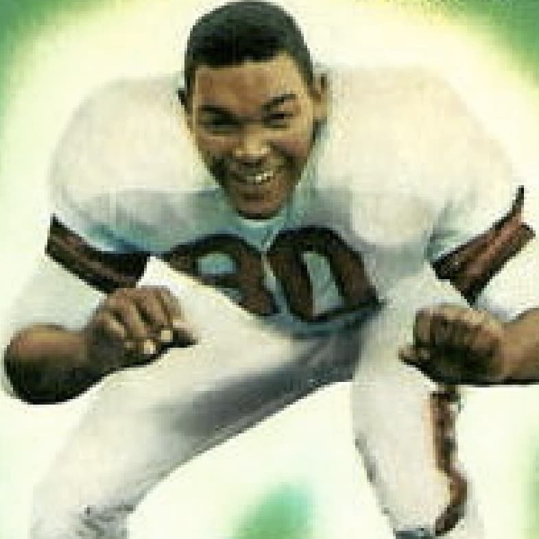 The Best Green Bay Packers Hall Of Famers In NFL History, Ranked