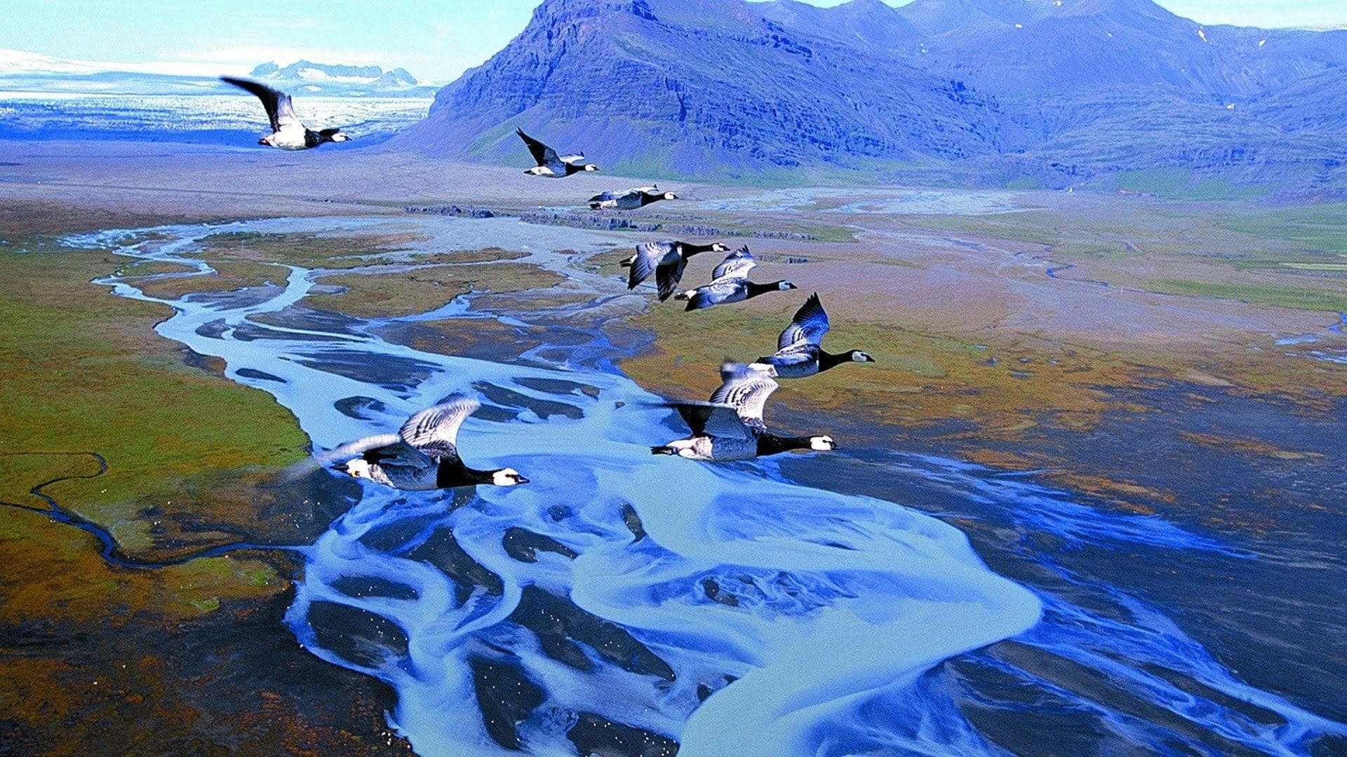 Groundbreaking Documentaries That Are Inherently Flawed