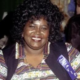 What's Happening!! Cast | List of All What's Happening!! Actors and ...