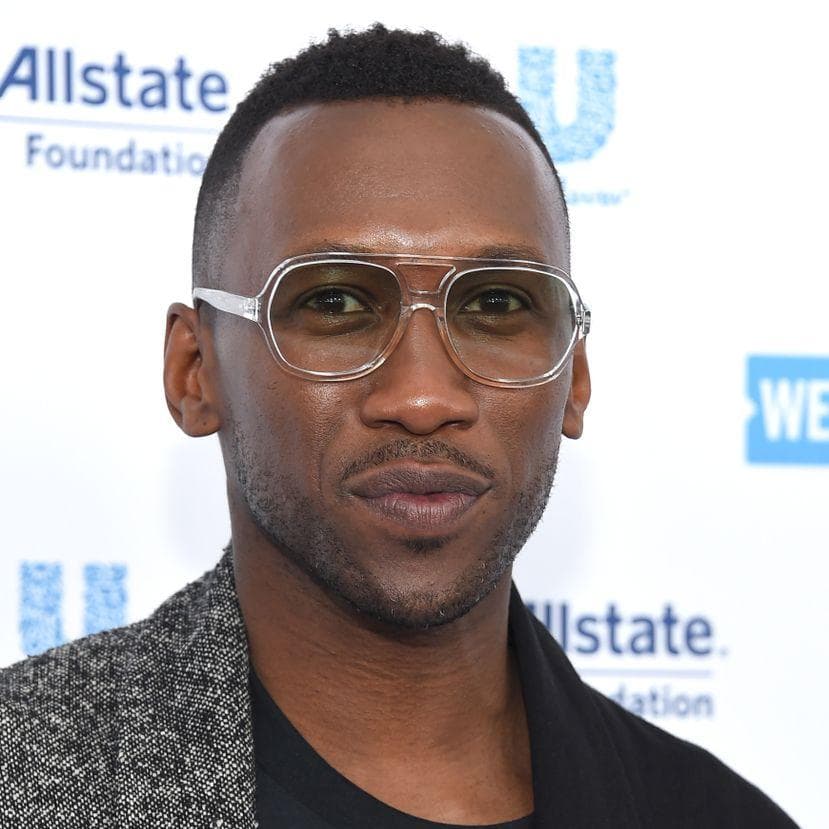 50+ Famous People With the Last Name Ali