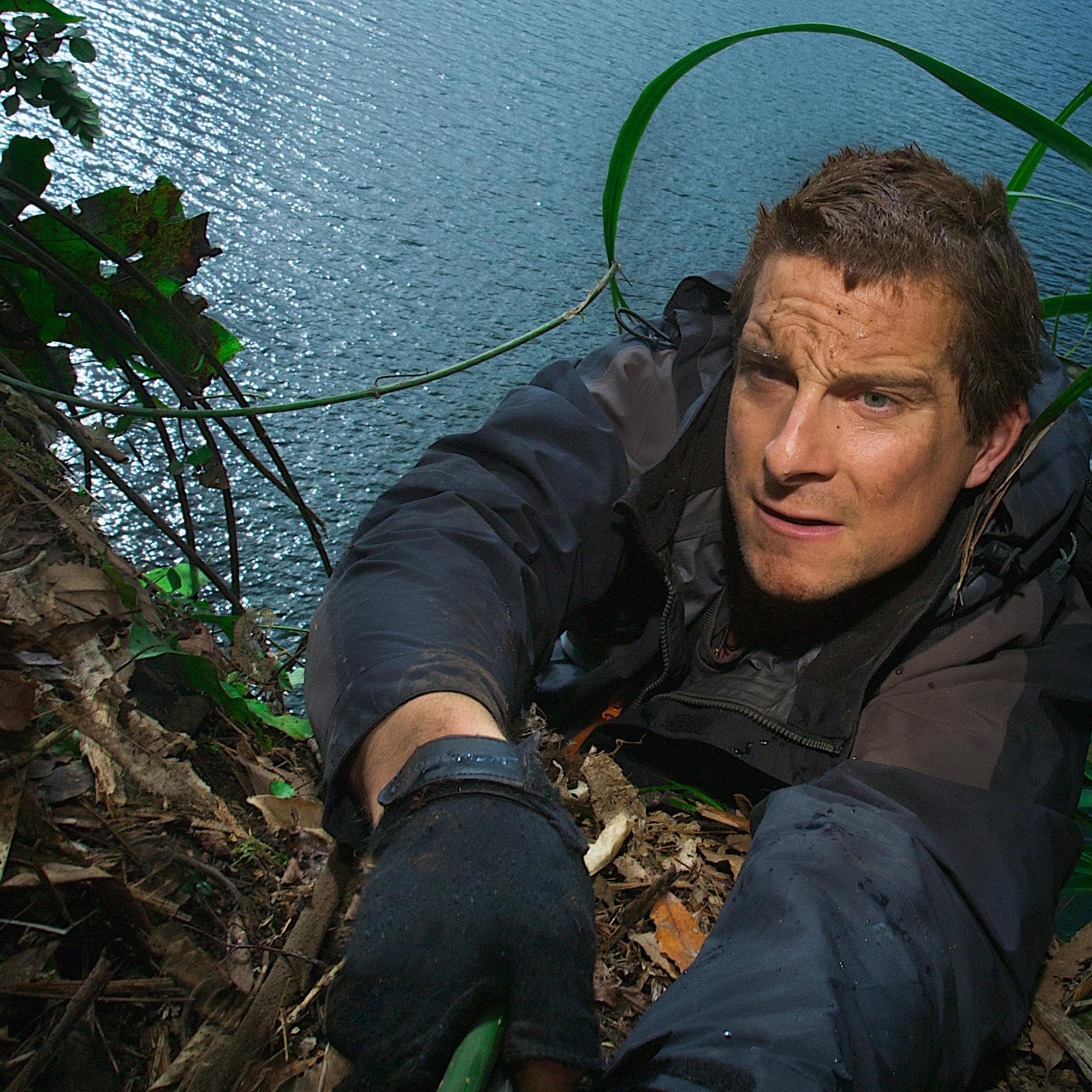 The 65+ Best TV Shows Like 'Expedition Unknown', Ranked