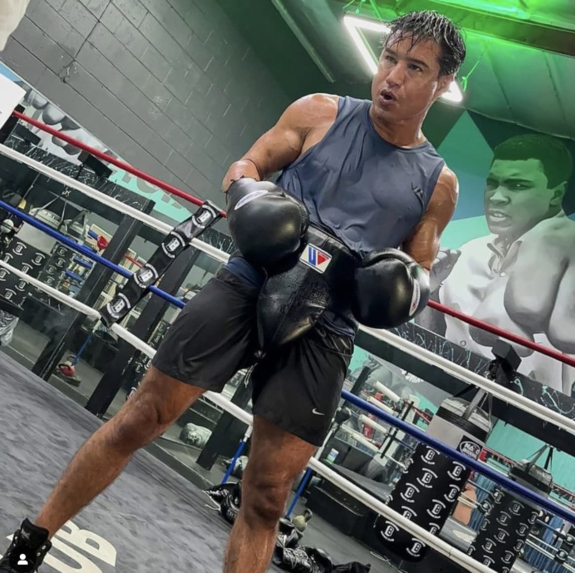 The 20 Best Celebrity Boxers