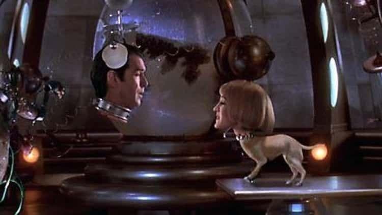 Funny Tim Burton Scenes