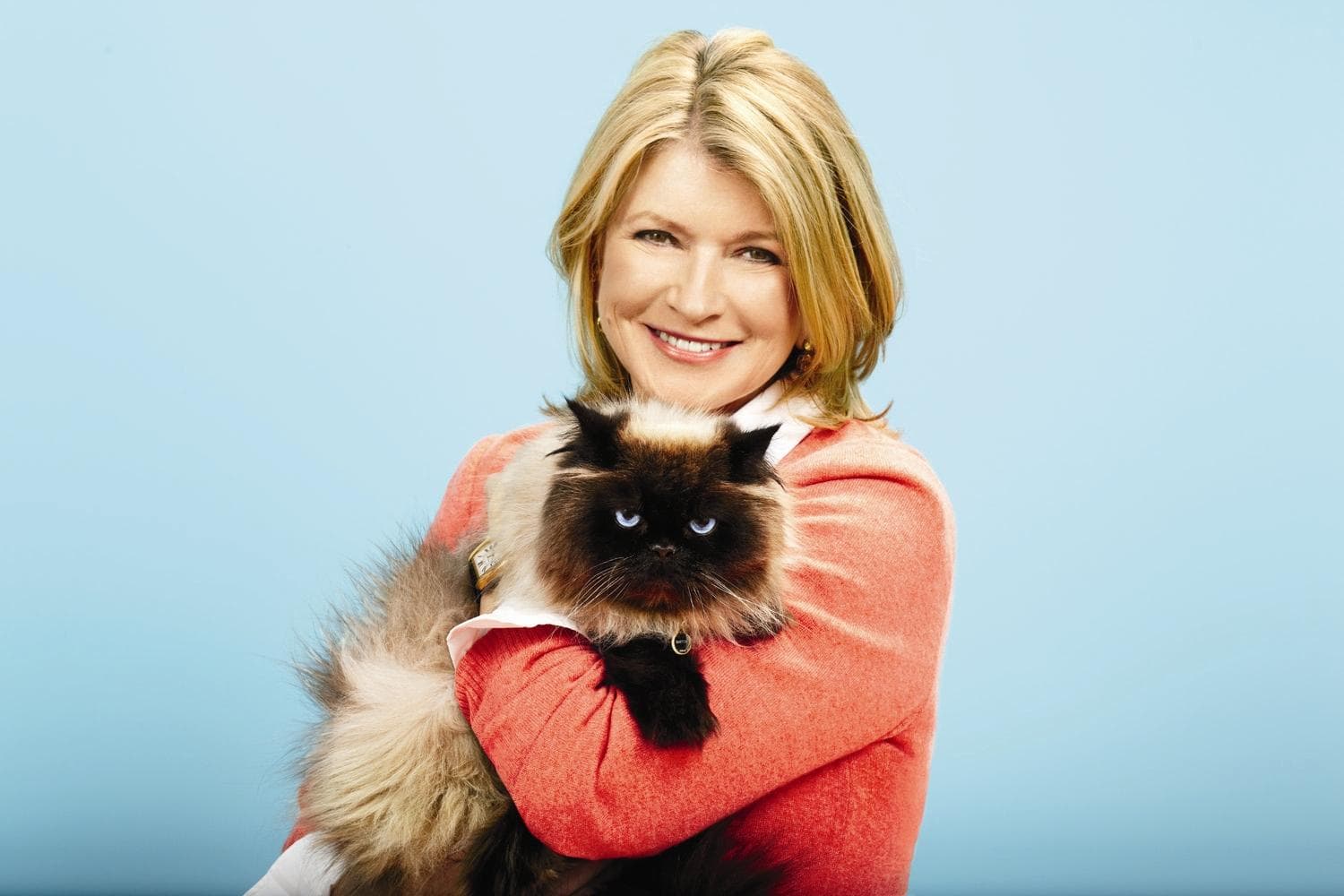 Celebrities Who Have Cats | List of Famous Cat People
