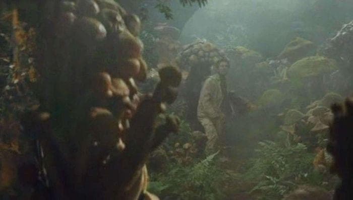 Weird Monster Movies That Aren't Mainstream For A Reason