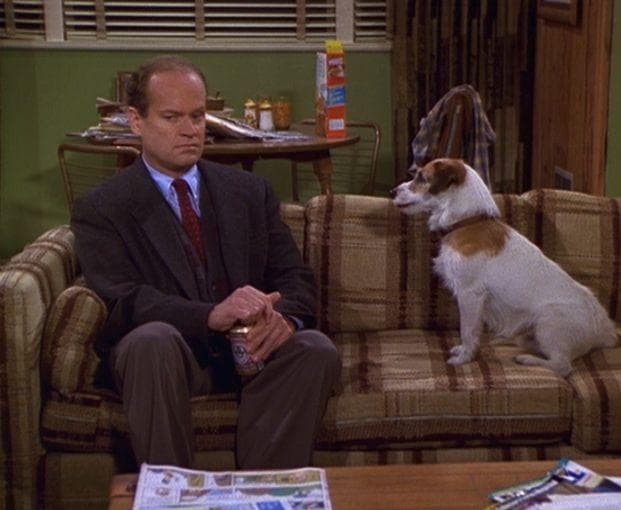 The Saddest Fates Of Our Favorite Movie And TV Animals