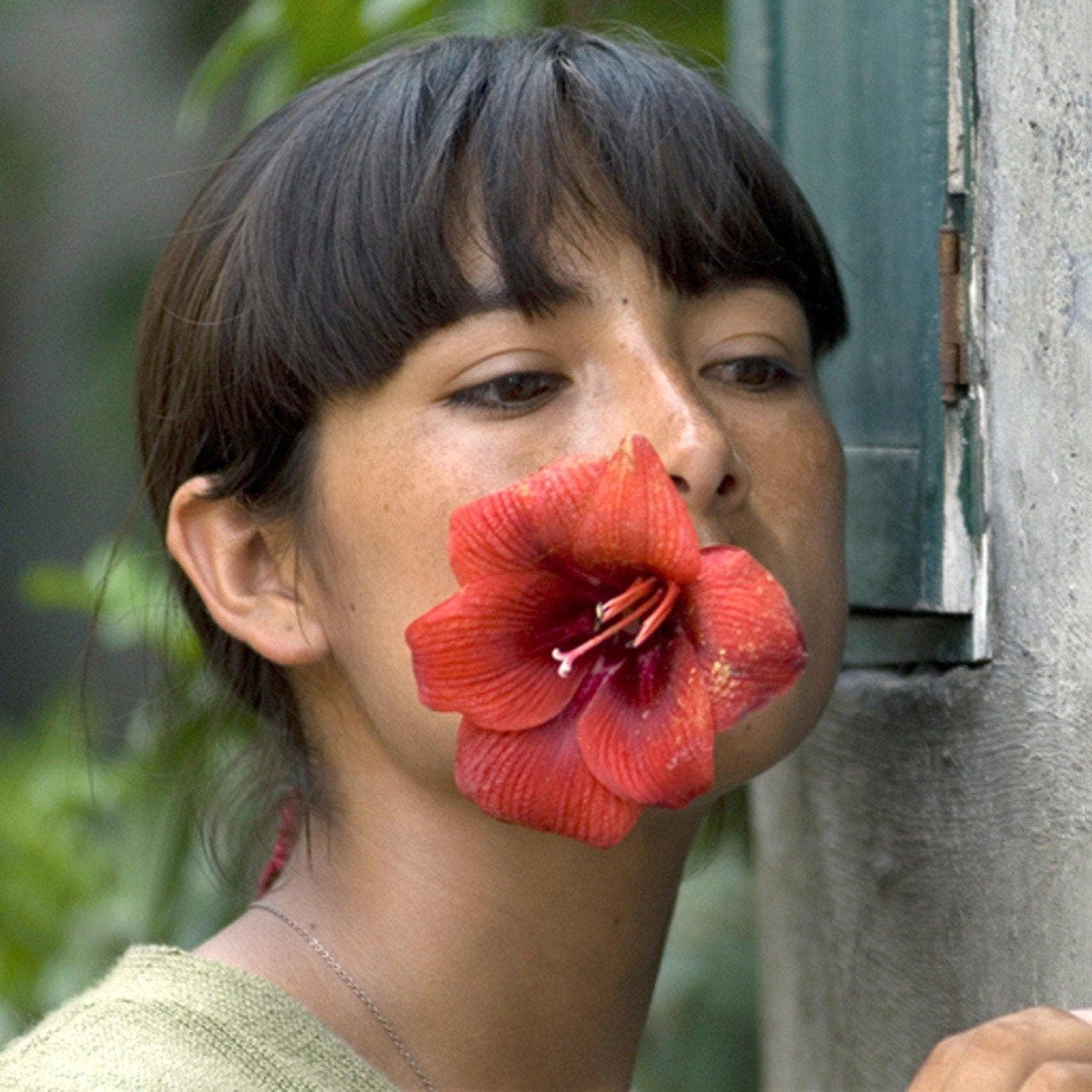 The 19 Best Movies That Are Set In Peru