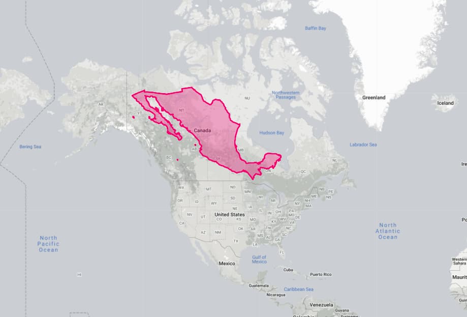 True-Size Map Comparisons That Change How We See The World