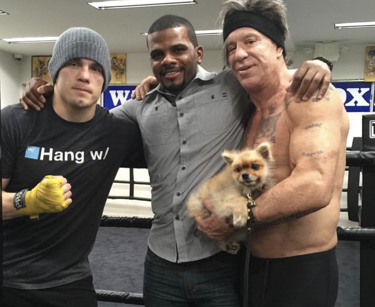 The 20 Best Celebrity Boxers