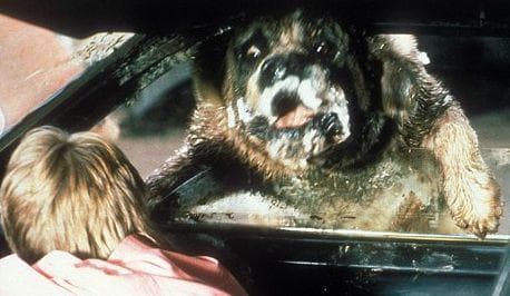 The 13 Best Jump Scares In Stephen King Movies