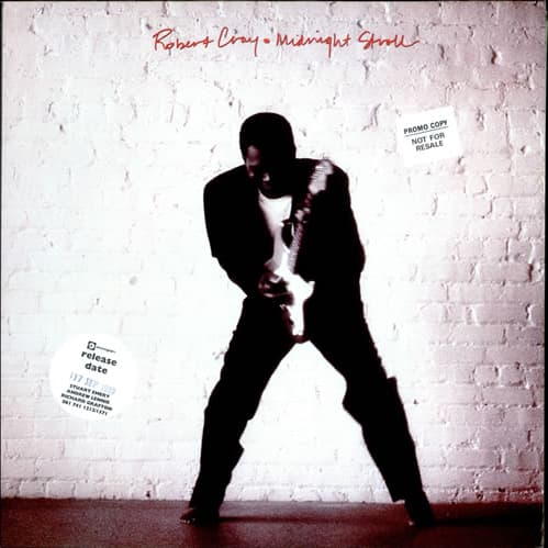 The Best Robert Cray Albums, Ranked By Fans