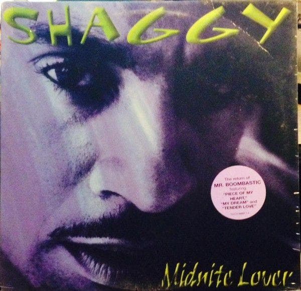 The Best Shaggy Albums, Ranked By Fans