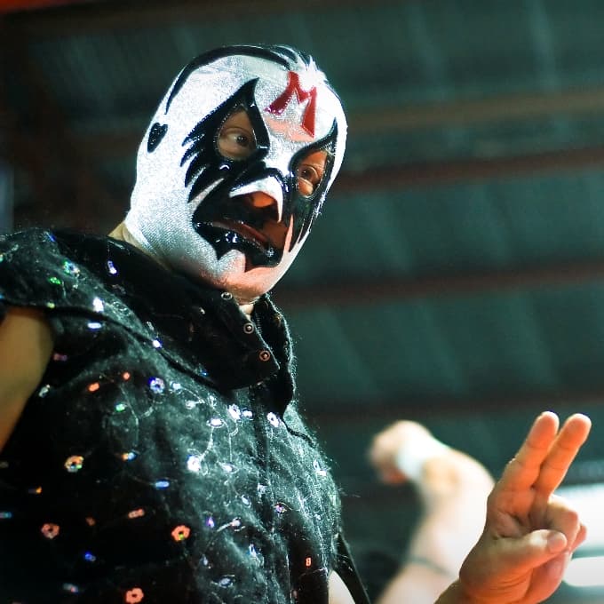 80s Masked Wrestlers