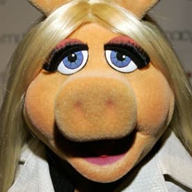 The Greatest Pig Characters | List of Fictional Pigs