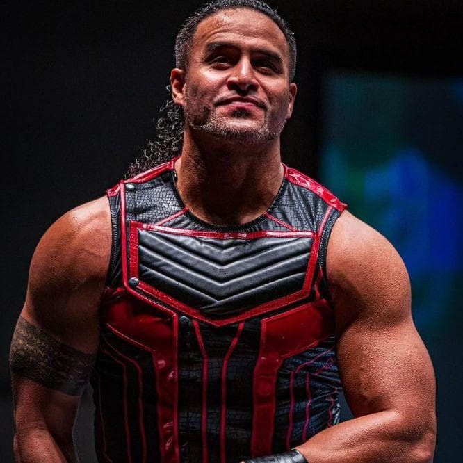 Every WWE Bloodline Member, Ranked By Fans