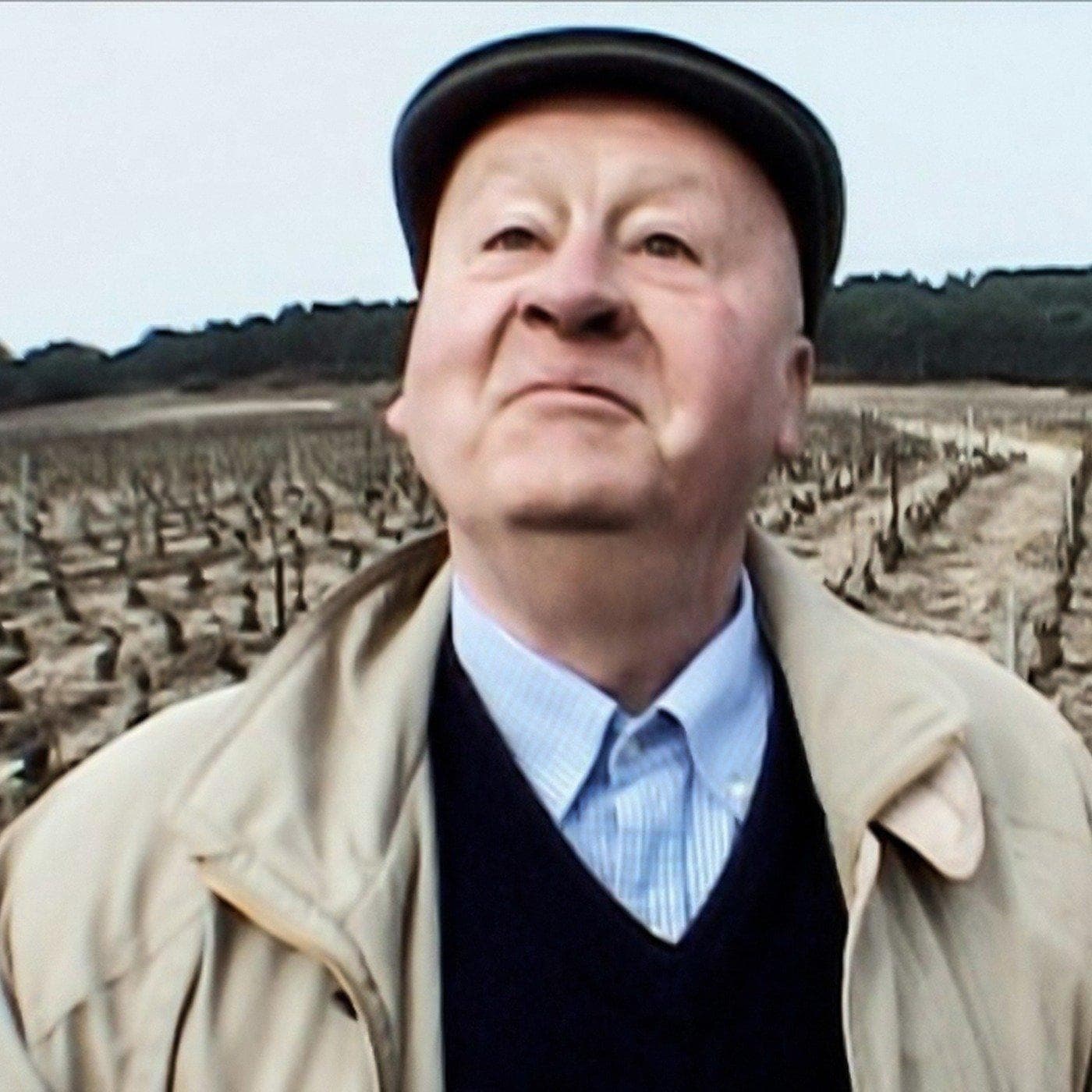 The 11 Best Movies That Are Set In Napa Valley