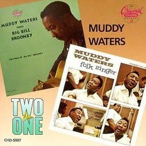 The Best Muddy Waters Albums, Ranked By Fans