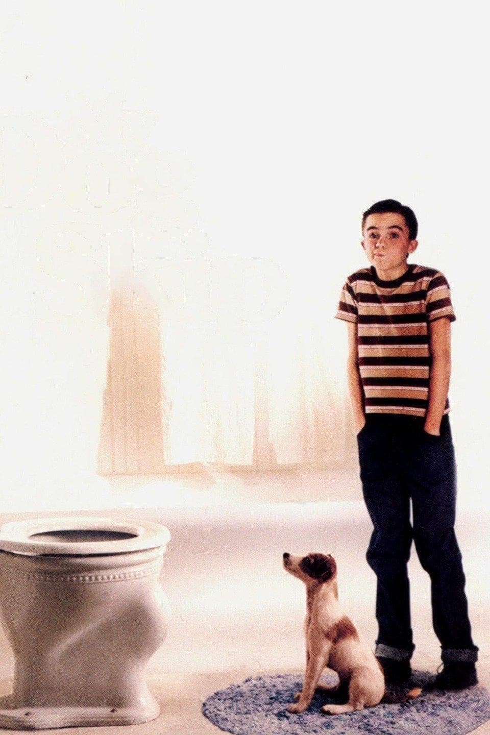 The 25 Best Movies Like 'A Dog's Purpose', Ranked By Fans