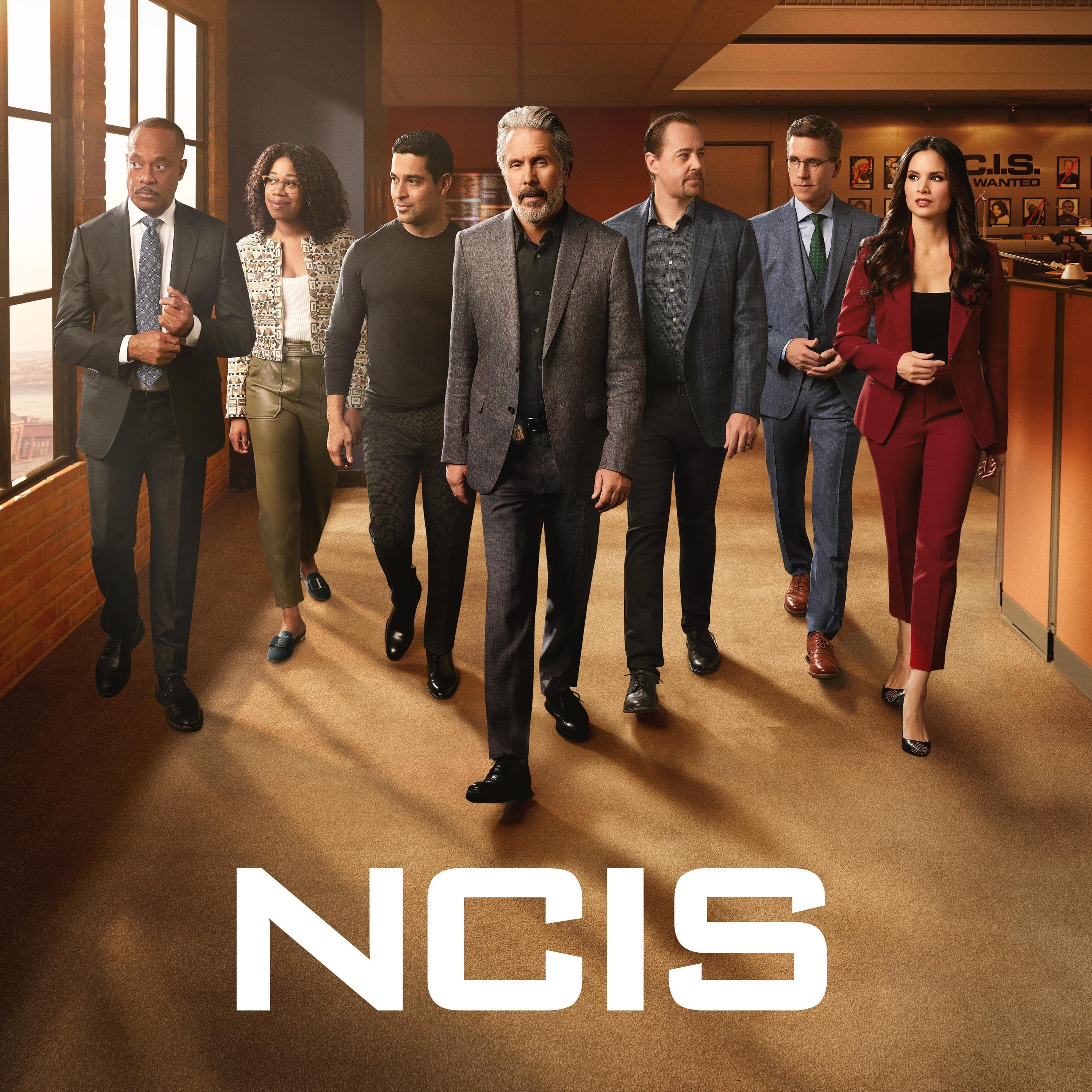 25+ Great Police Procedural Shows Like 'Castle'