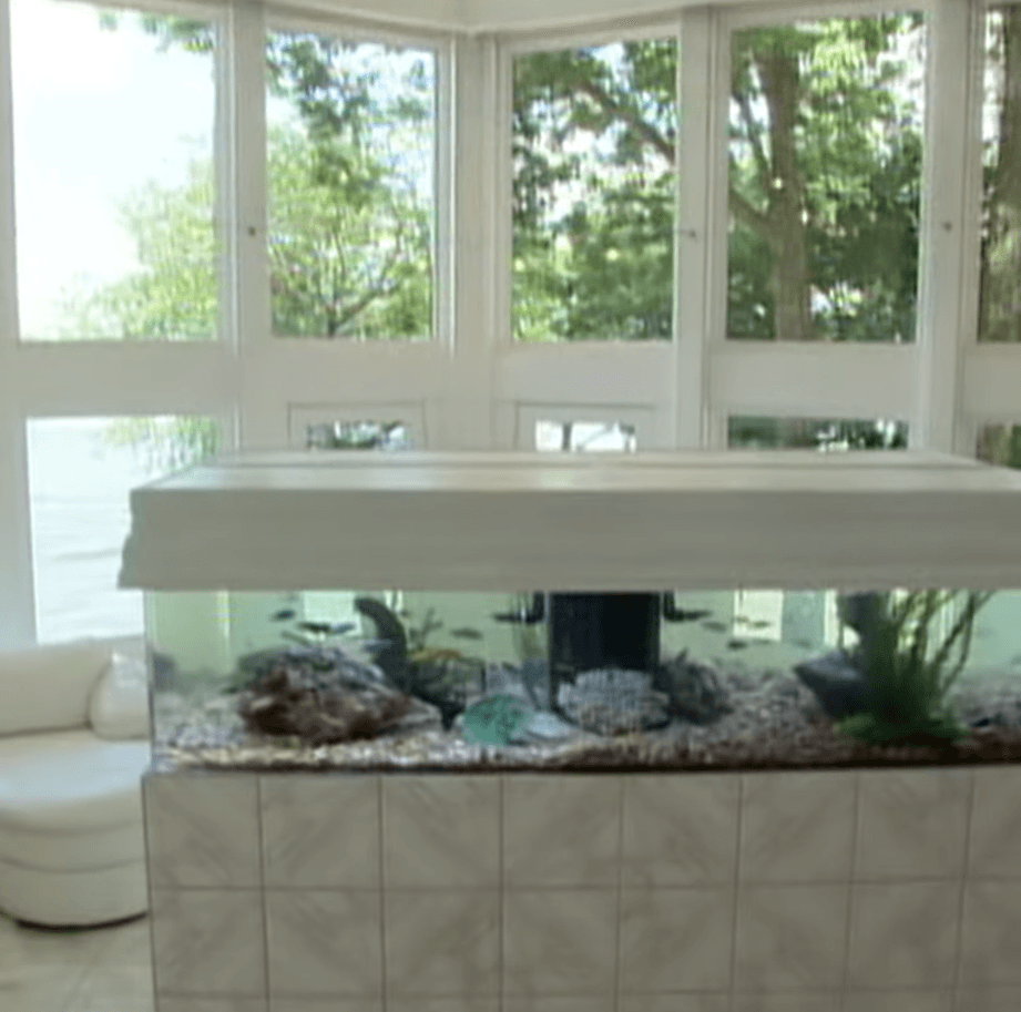 Celebrities with Fish Tanks | Famous People Who Have Aquariums