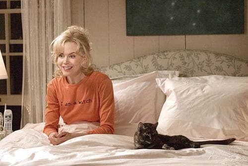 Celebrities Who Have Cats | List of Famous Cat People