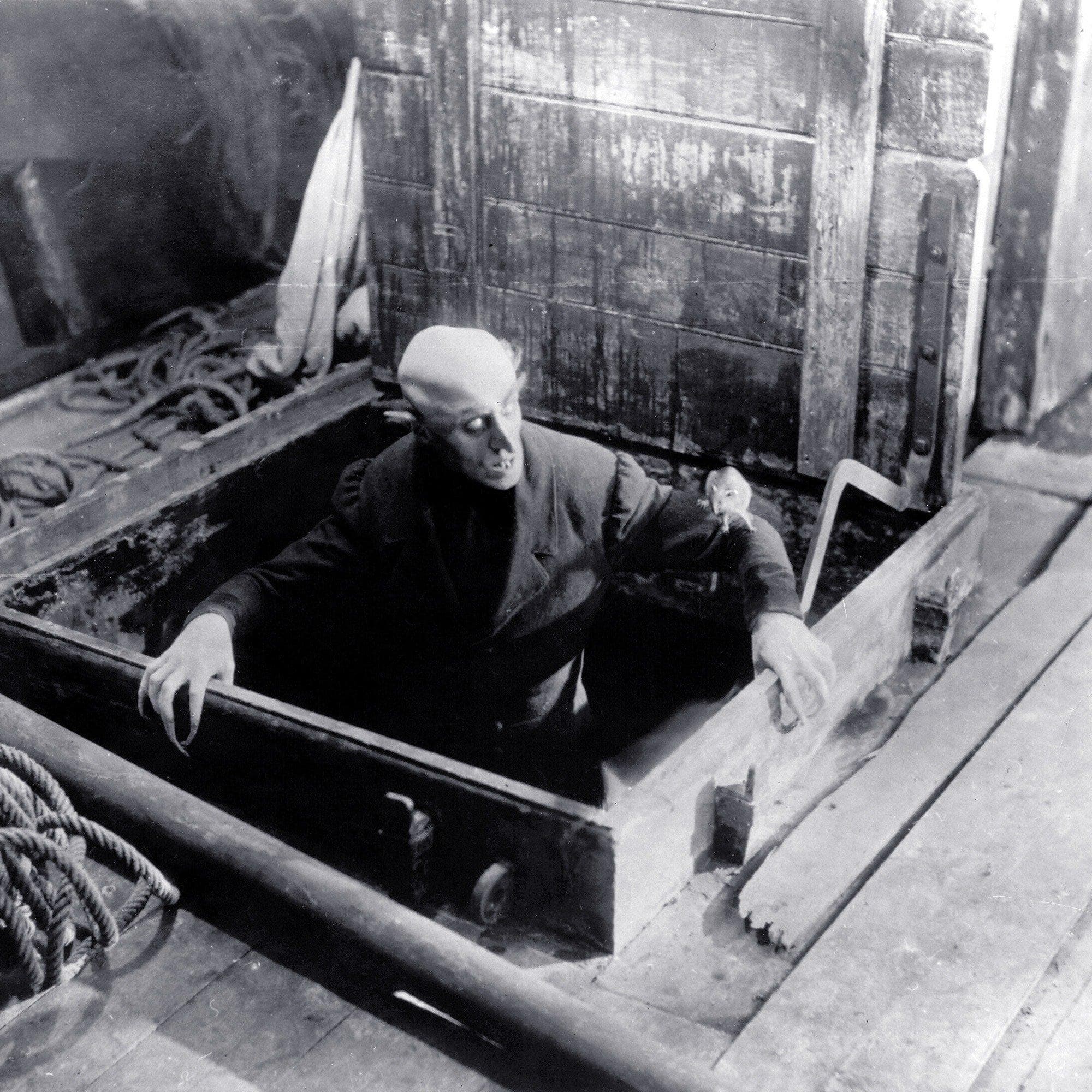 The 11 Best German Horror Movies Of All Time