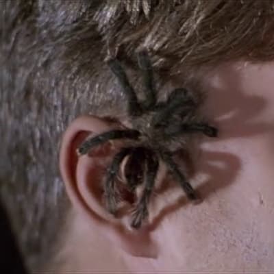 32 Scary Movies With Spiders, Ranked