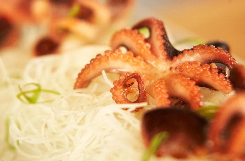 12 Dishes Where Animals Are Served and Eaten Alive