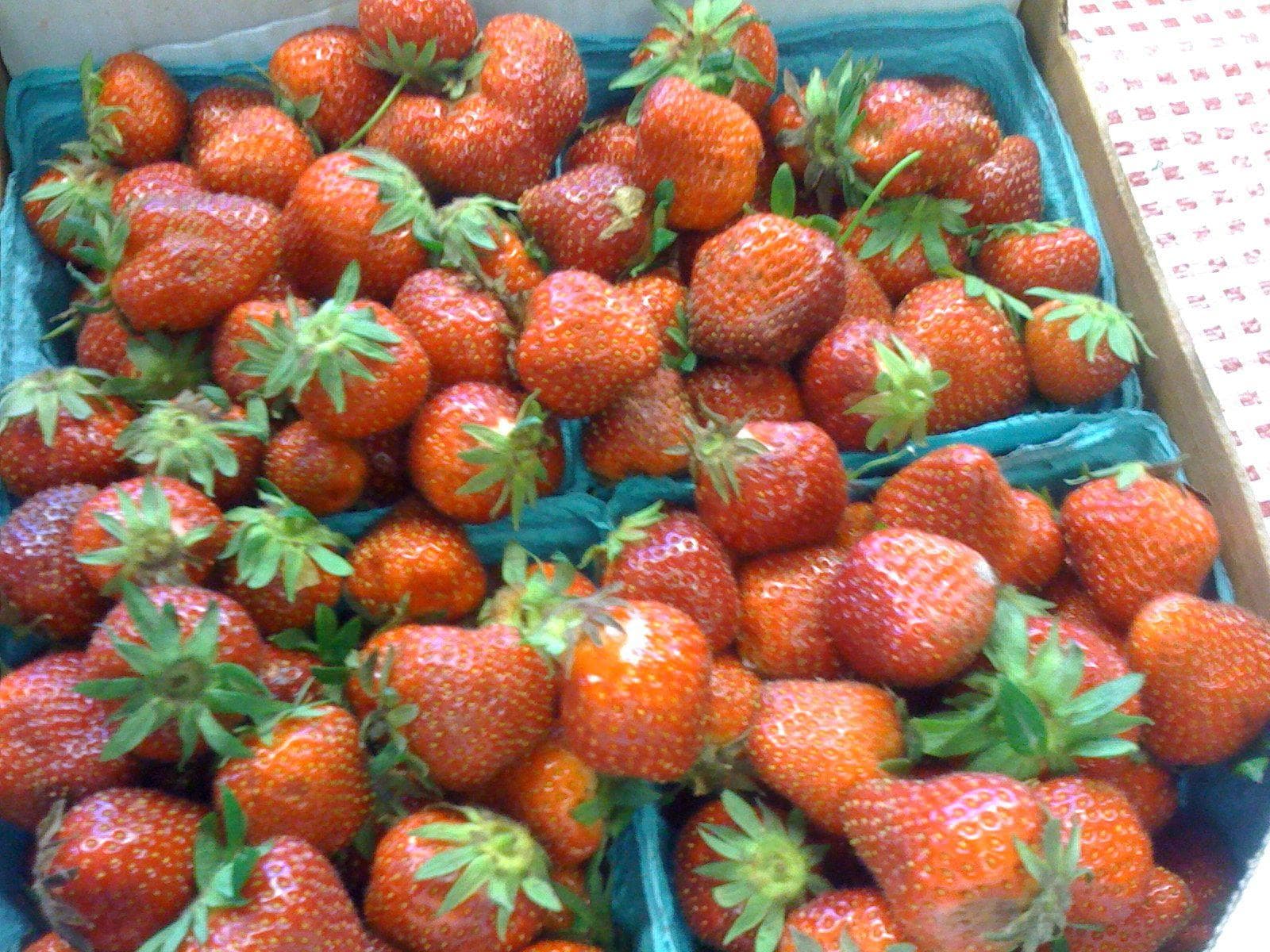 A List Of Every Official US State Fruit