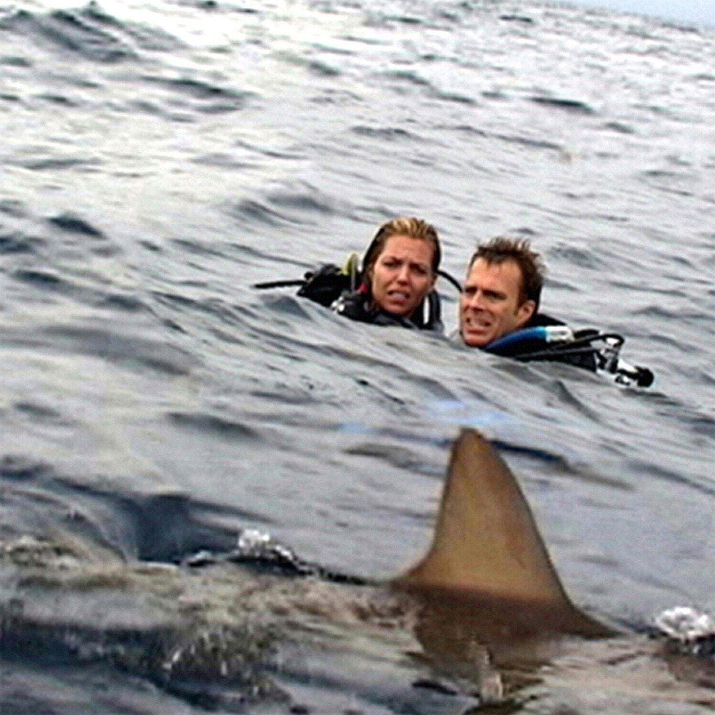 The 20+ Best Survival Movies Based on True Stories