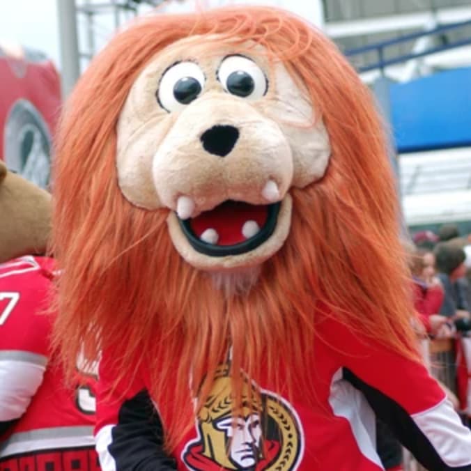 All 30 NHL Mascots, Ranked By Hockey Fans