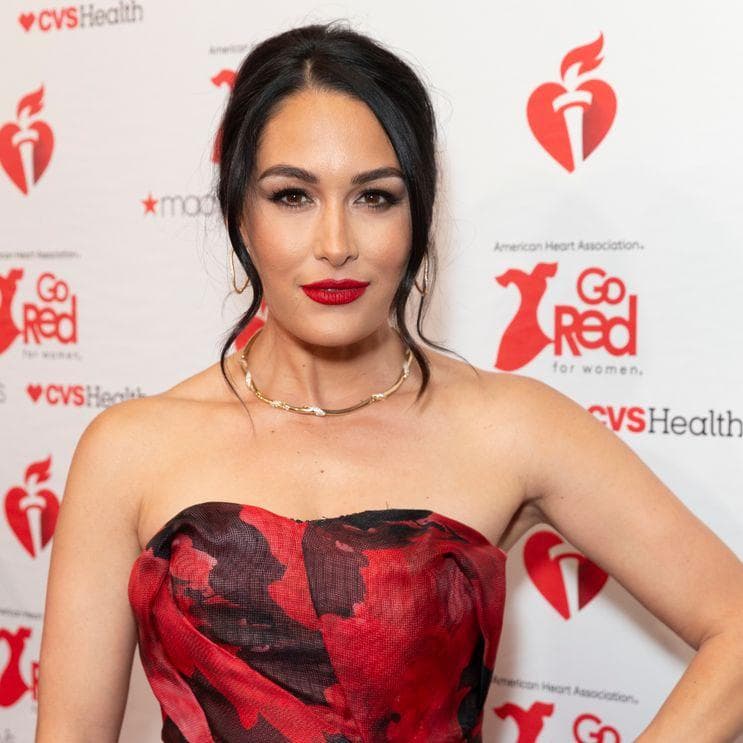 Best WWE Women & Diva Wrestling Champions