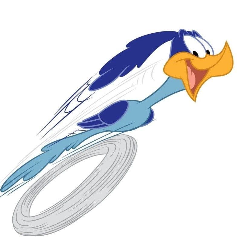 Bird Cartoon Characters Names