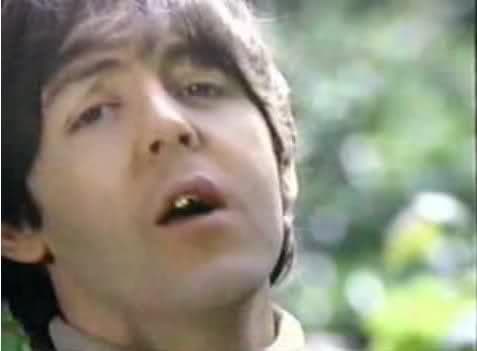 Celebrities With Chipped Teeth | List of Famous People Who Chipped A Tooth