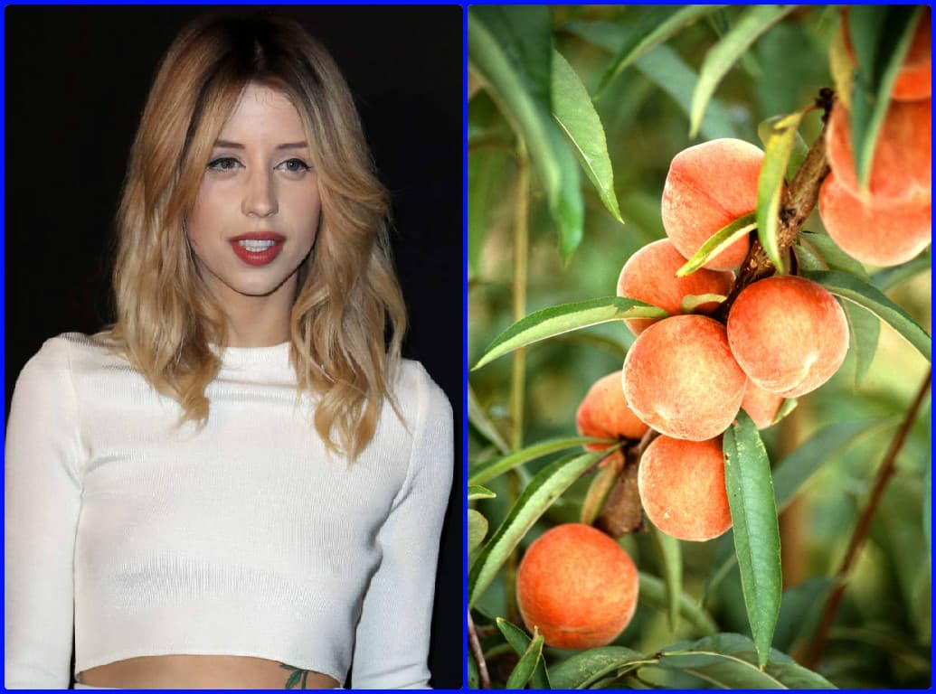 Celebrities with Food Names | Famous People Food Names