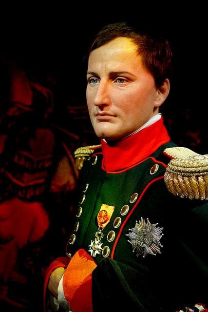 The 13 Best Movies & Shows With Golden Retrievers, Ranked