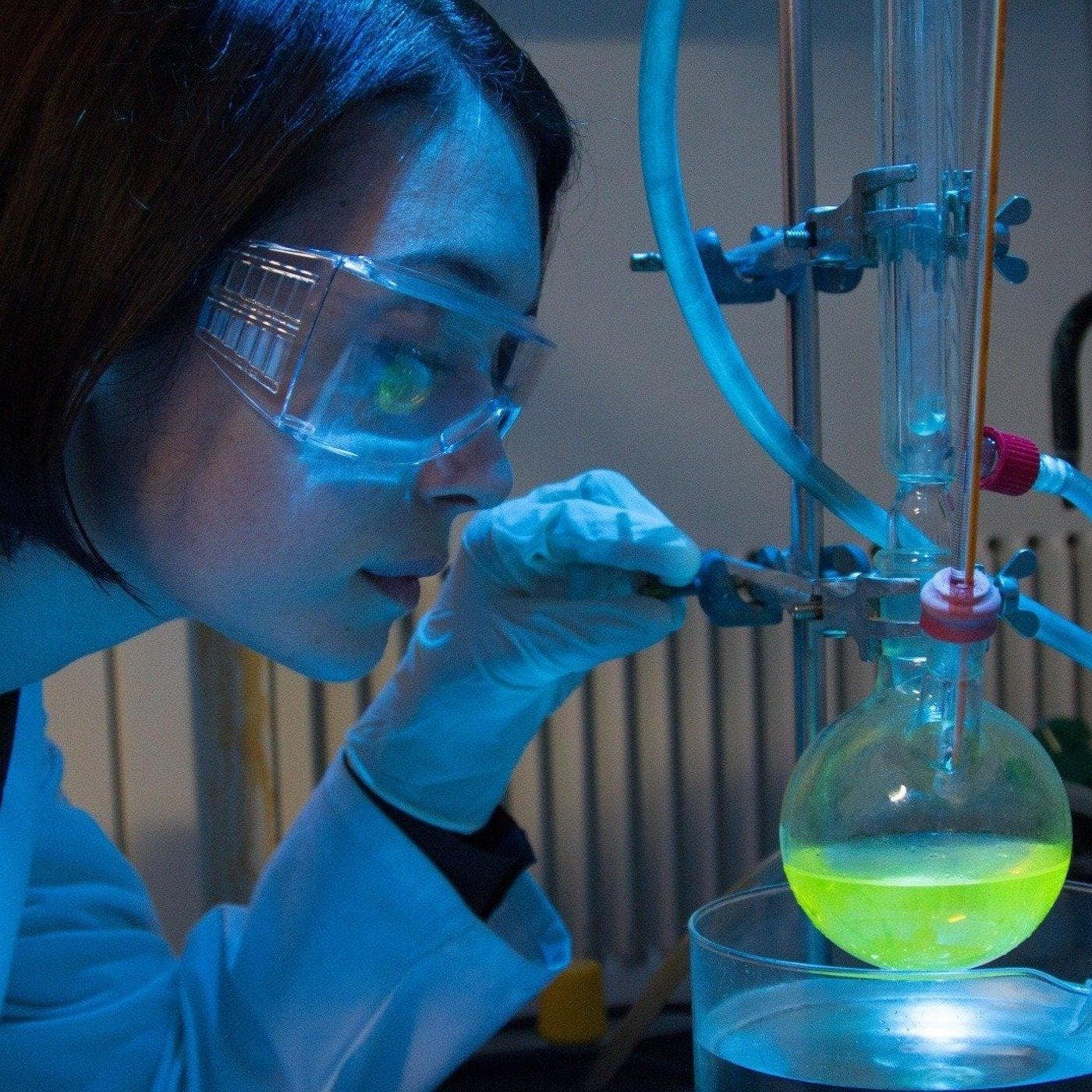 The 21 Best Snake Horror Movies, Ranked By Fans