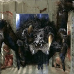 32 Scary Movies With Spiders, Ranked