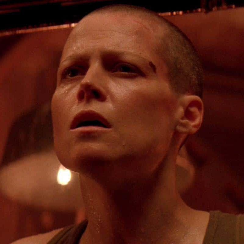 The Perfect Order for Watching the 'Alien' Franchise: The Perfect Organism