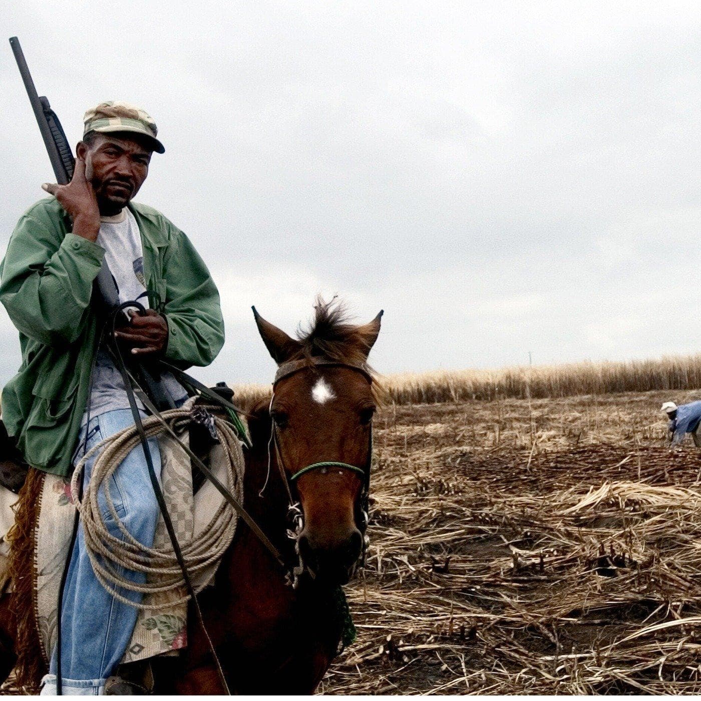 The 17 Best Movies Set In Haiti, Ranked By Fans