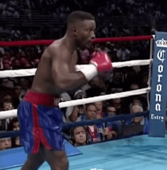 Famous Male Professional Boxers | List of Top Male Professional Boxers