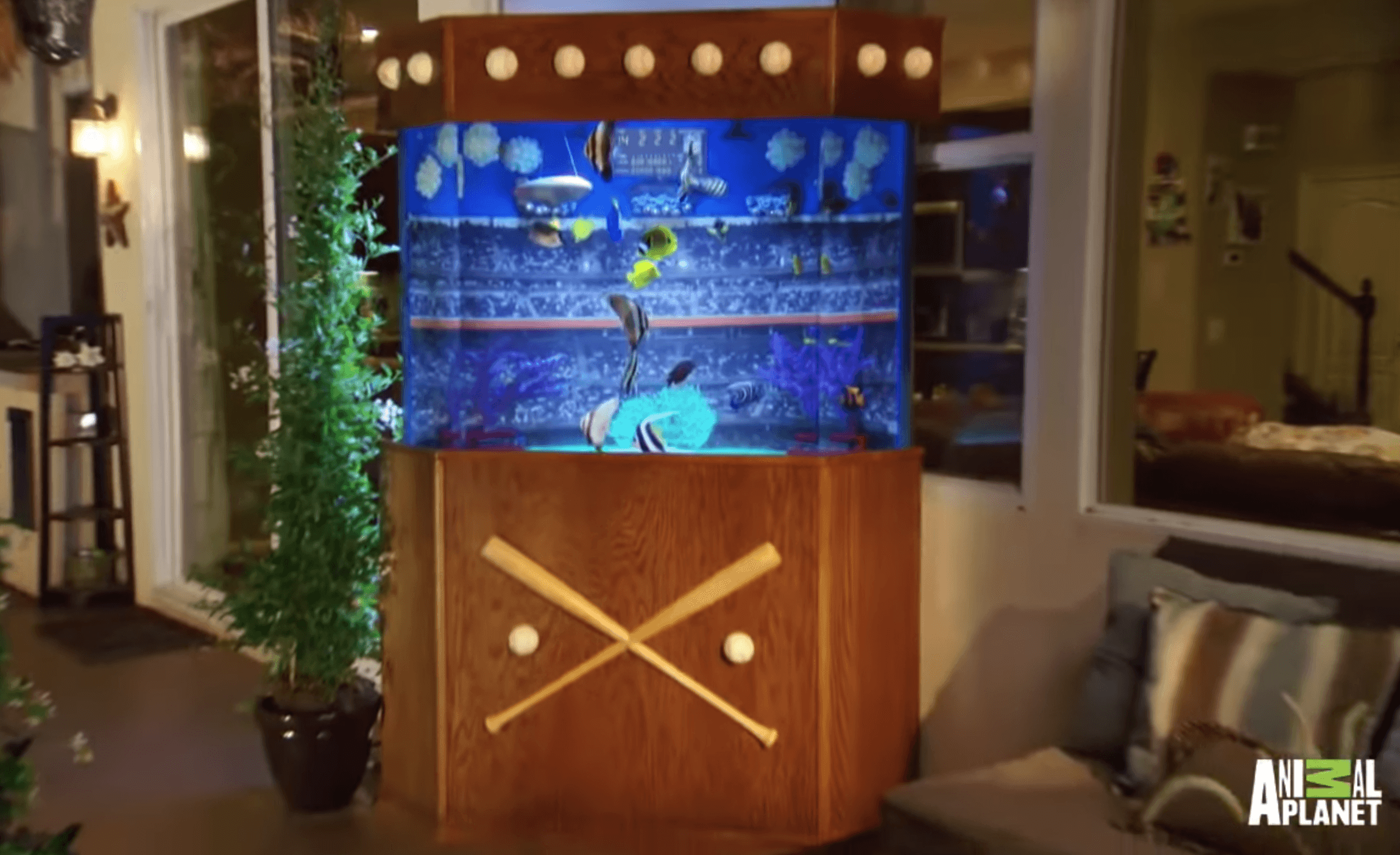 Celebrities with Fish Tanks | Famous People Who Have Aquariums