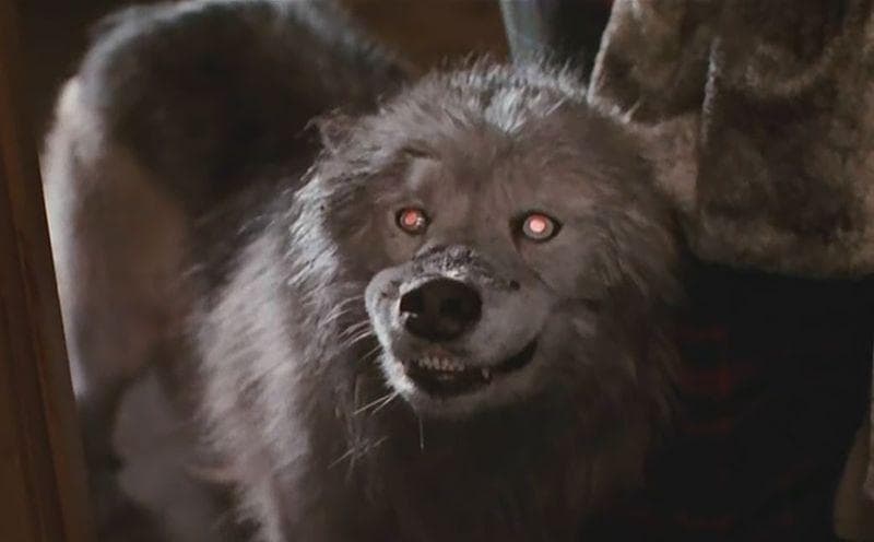 Scary Dog Movies List