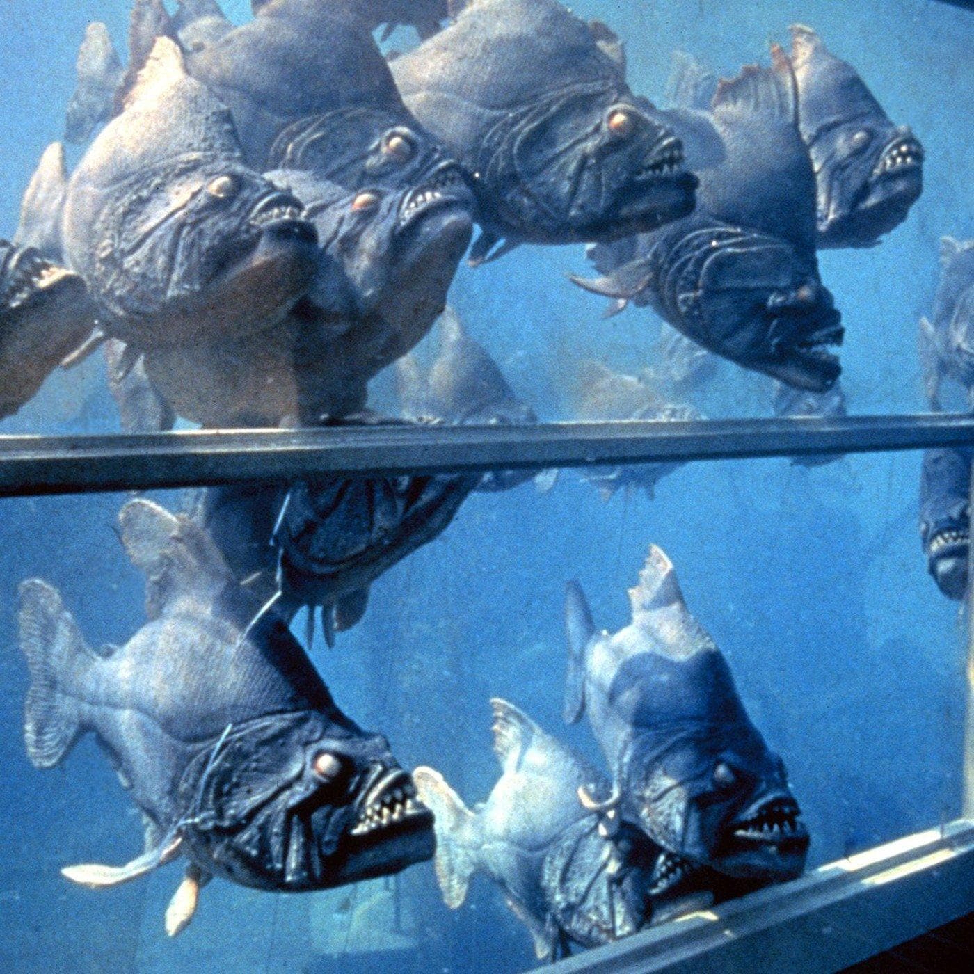 9 Best Movies About Piranhas, Ranked By Fans
