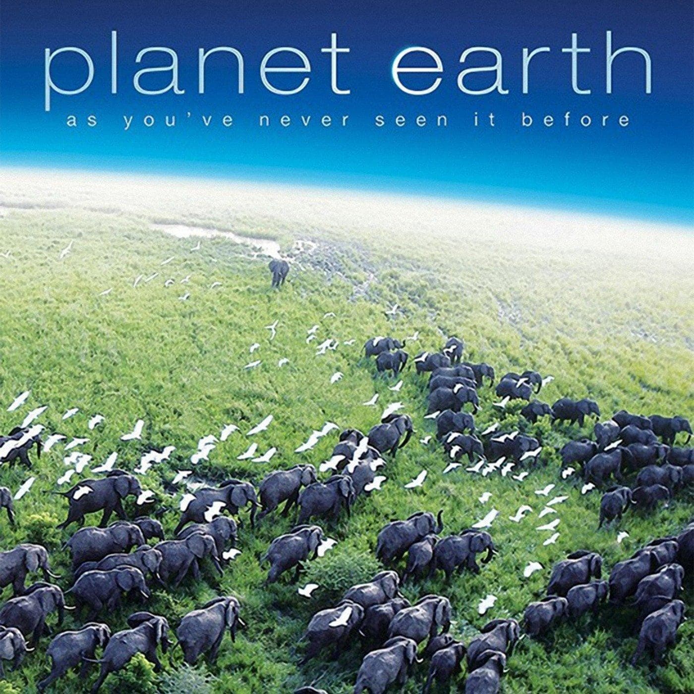 The Best Television Documentary Series, Ranked By Fans