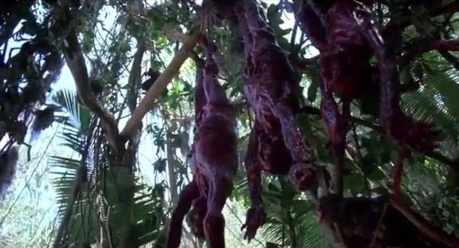 The Most Messed-Up Moments From Alien Movies