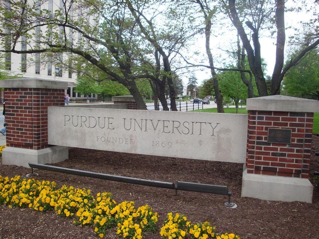 What Is The Biggest University In The USA?